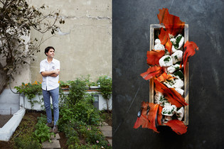 Ashley Klinger & Co. - photographers - Marcus Nilsson - Portfolio